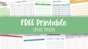 Expense Tracker Printables - 20 FREE Options | Printabulls