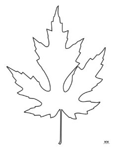 Leaf Outlines, Templates & Coloring Pages - 55 FREE Pages | Printabulls
