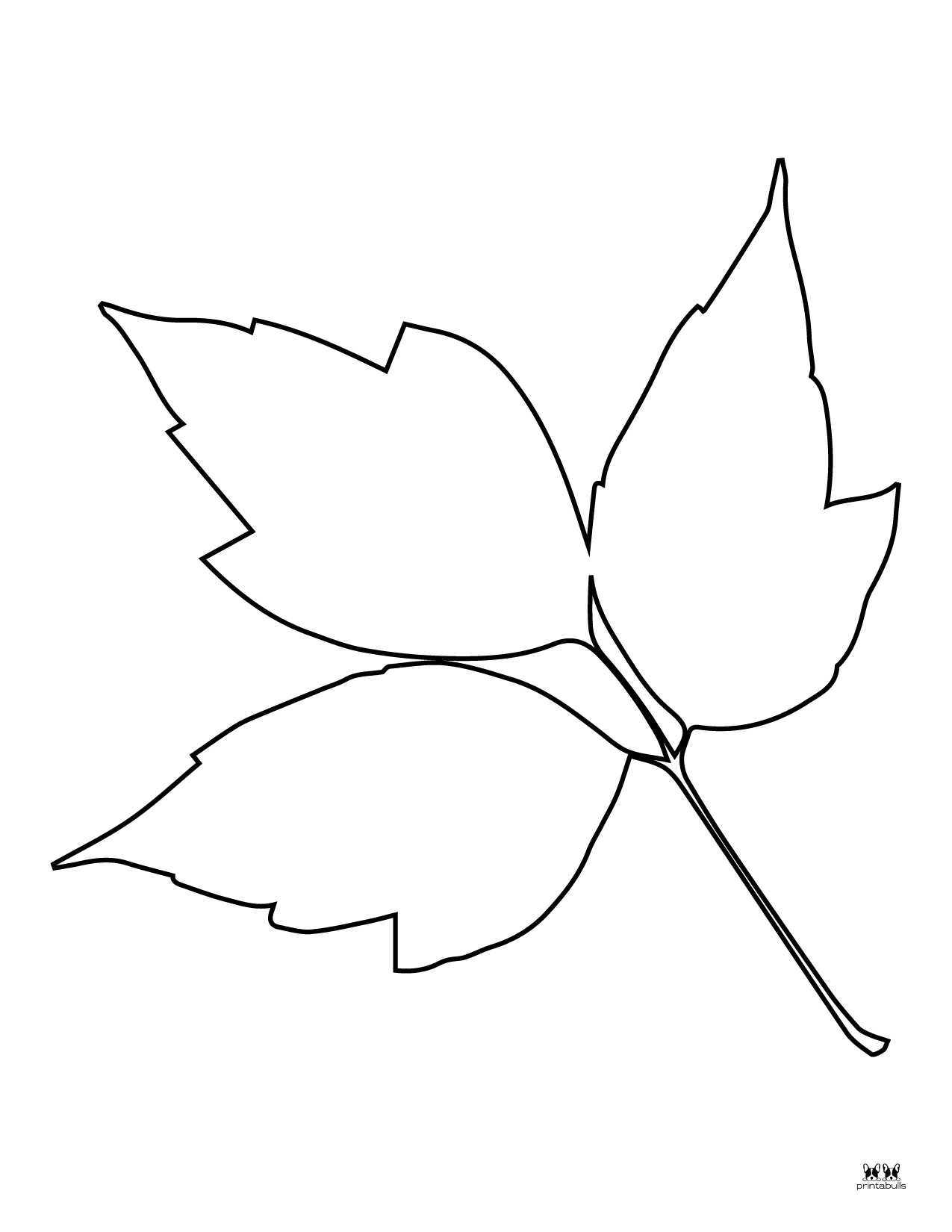 Leaf Outlines, Templates & Coloring Pages - 55 FREE Pages | Printabulls