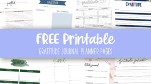 Gratitude Journal Planner Pages - 2026 Planner Pages | Printabulls