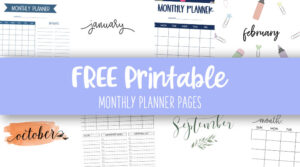 Monthly Planner Pages - FREE 2026 Planner Pages | Printabulls