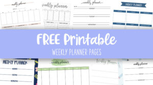 FREE 2026 Planners - 100s of FREE Planner Pages | Printabulls