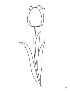 Flower Coloring Pages - 50 FREE Printable Pages | Printabulls