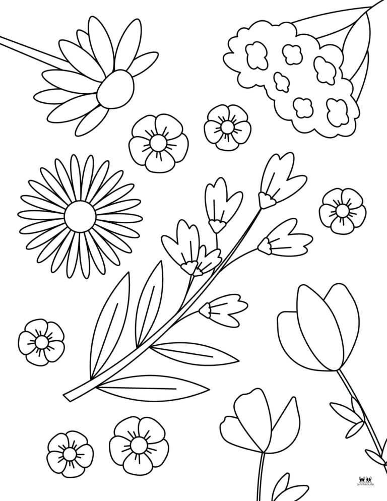 Flower Coloring Pages - 50 FREE Printable Pages | Printabulls