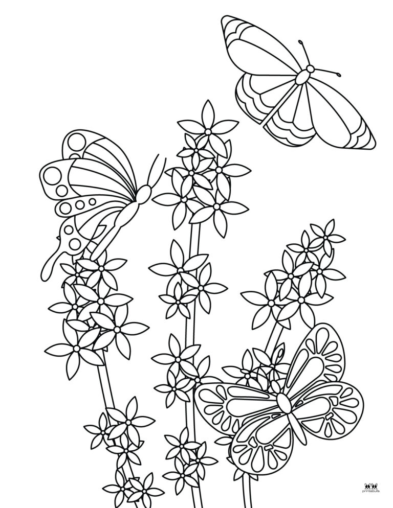 Butterfly Coloring Pages - 50 FREE Pages | Printabulls