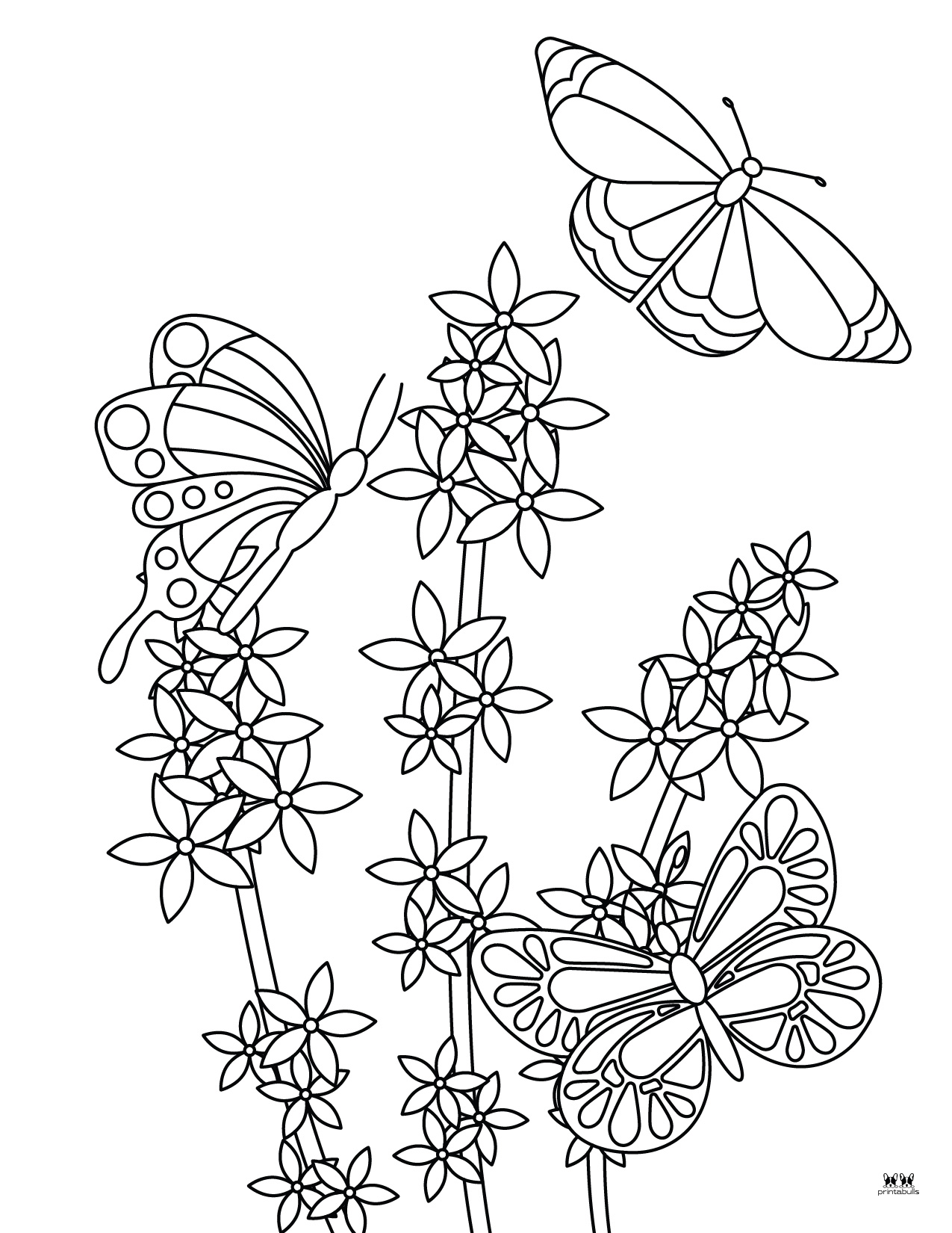 Butterfly Coloring Pages - 50 FREE Pages | Printabulls