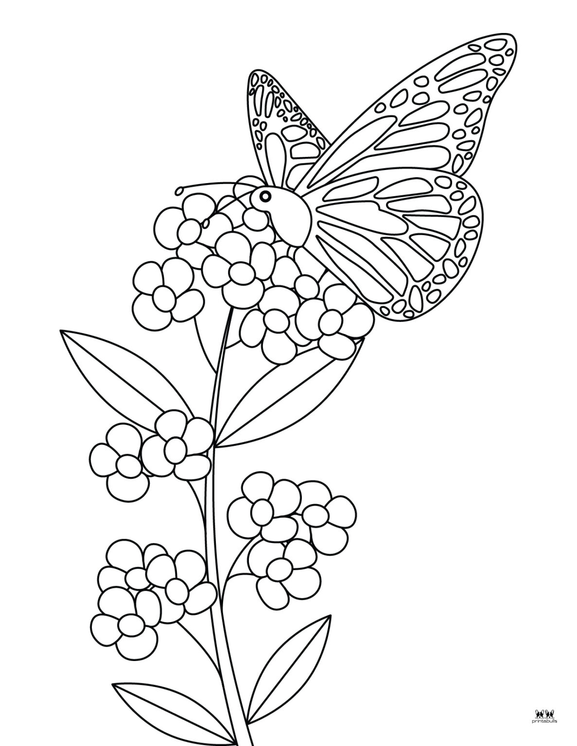 Butterfly Coloring Pages - 50 FREE Pages | Printabulls