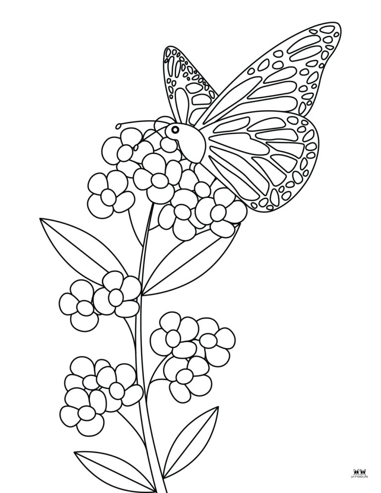 Butterfly Coloring Pages - 50 FREE Pages | Printabulls