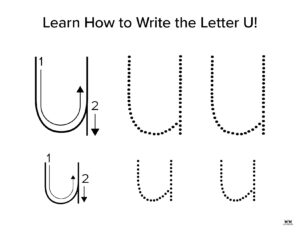 Letter U Worksheets - 50 FREE Printables | Printabulls