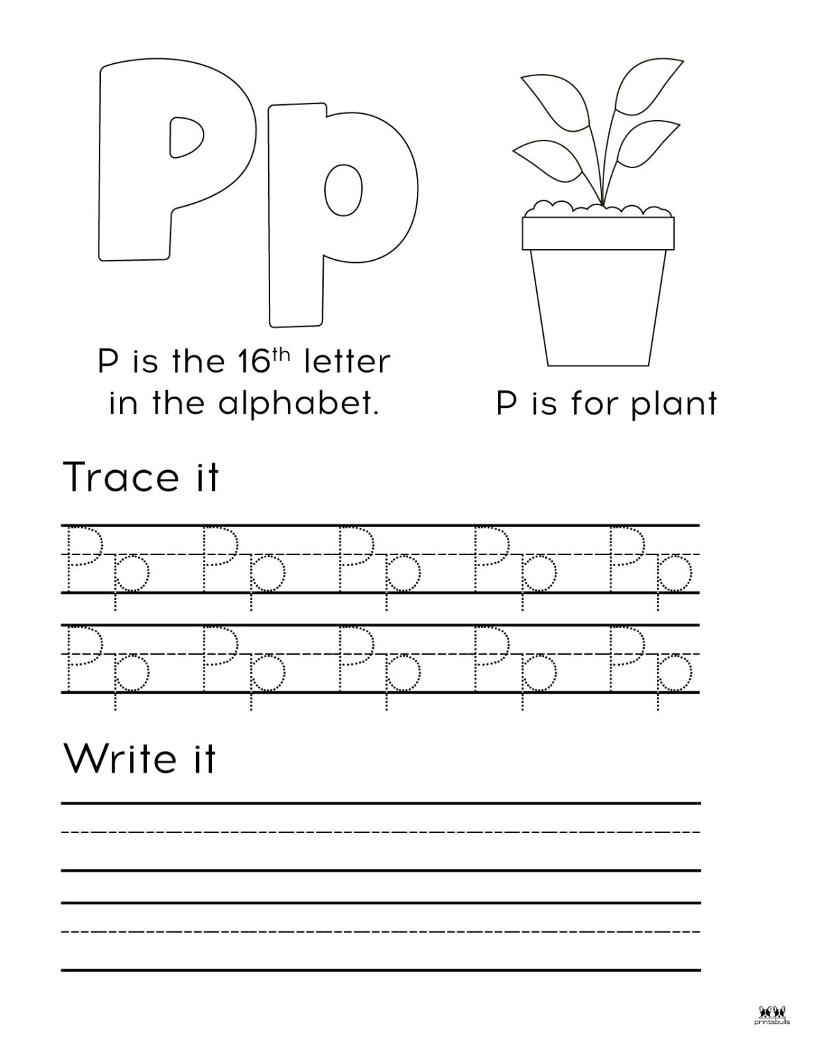 Letter P Worksheets - 50 FREE Printables | Printabulls