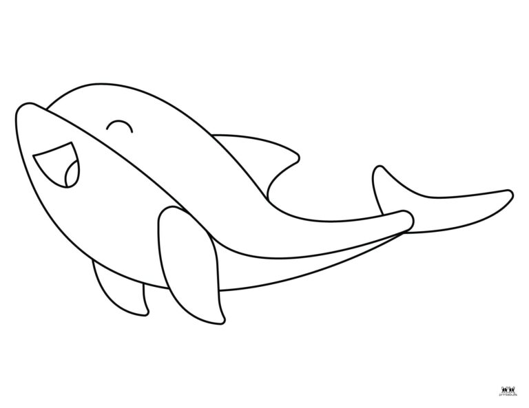 Dolphin Coloring Pages & Templates - 28 FREE Pages | Printabulls