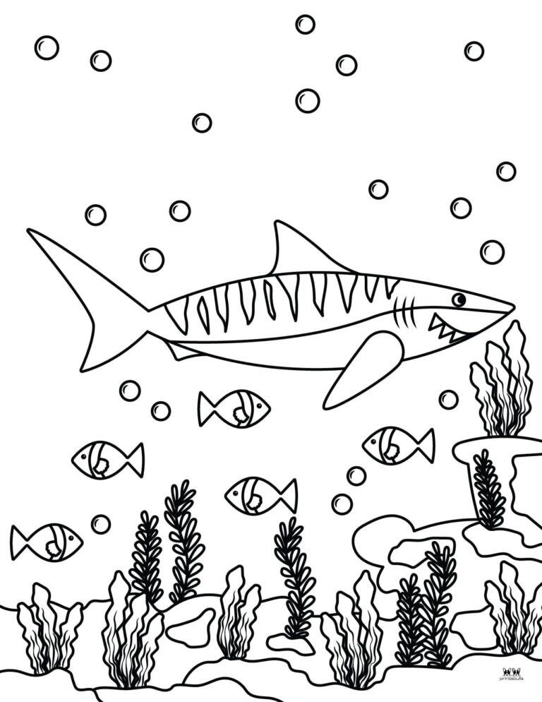 Shark Coloring Pages - 25 FREE Pages | Printabulls