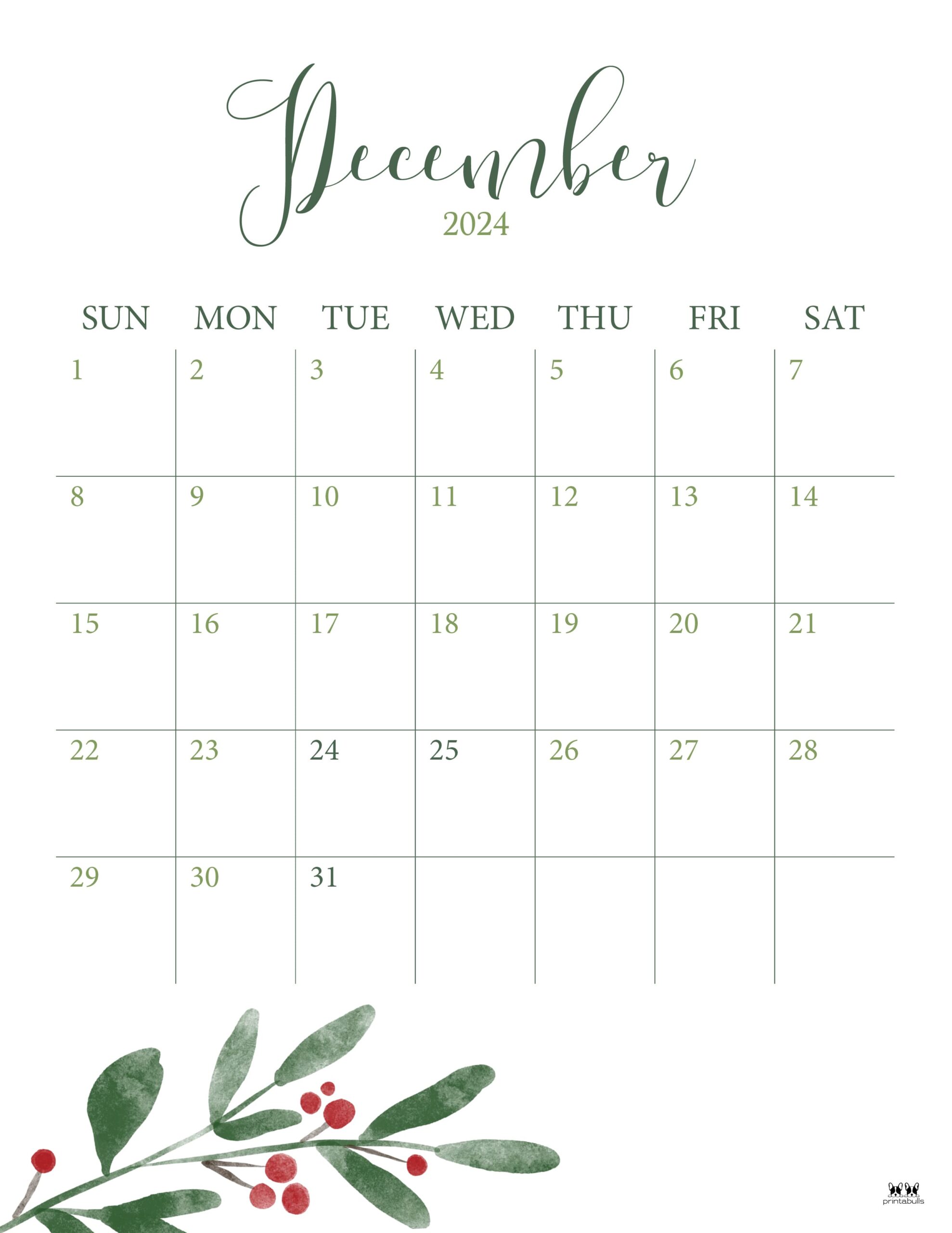 December 2024 Calendars - 50 FREE Printables | Printabulls