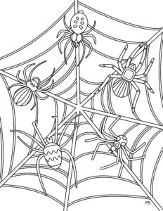 Halloween Spider Coloring Pages - 25 FREE Pages | Printabulls