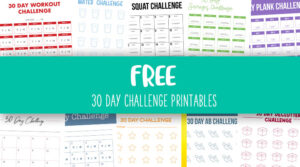 30 Day Challenge Printables | Printabulls