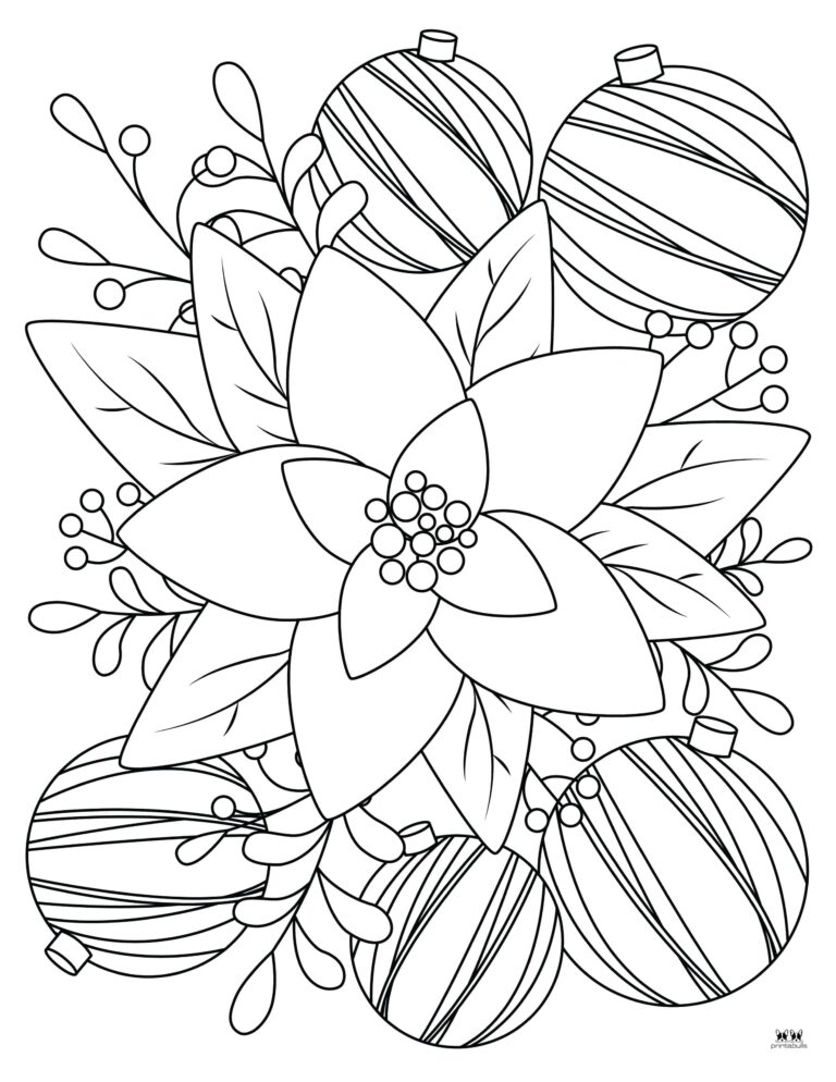Poinsettia Coloring Pages & Templates - FREE | Printabulls