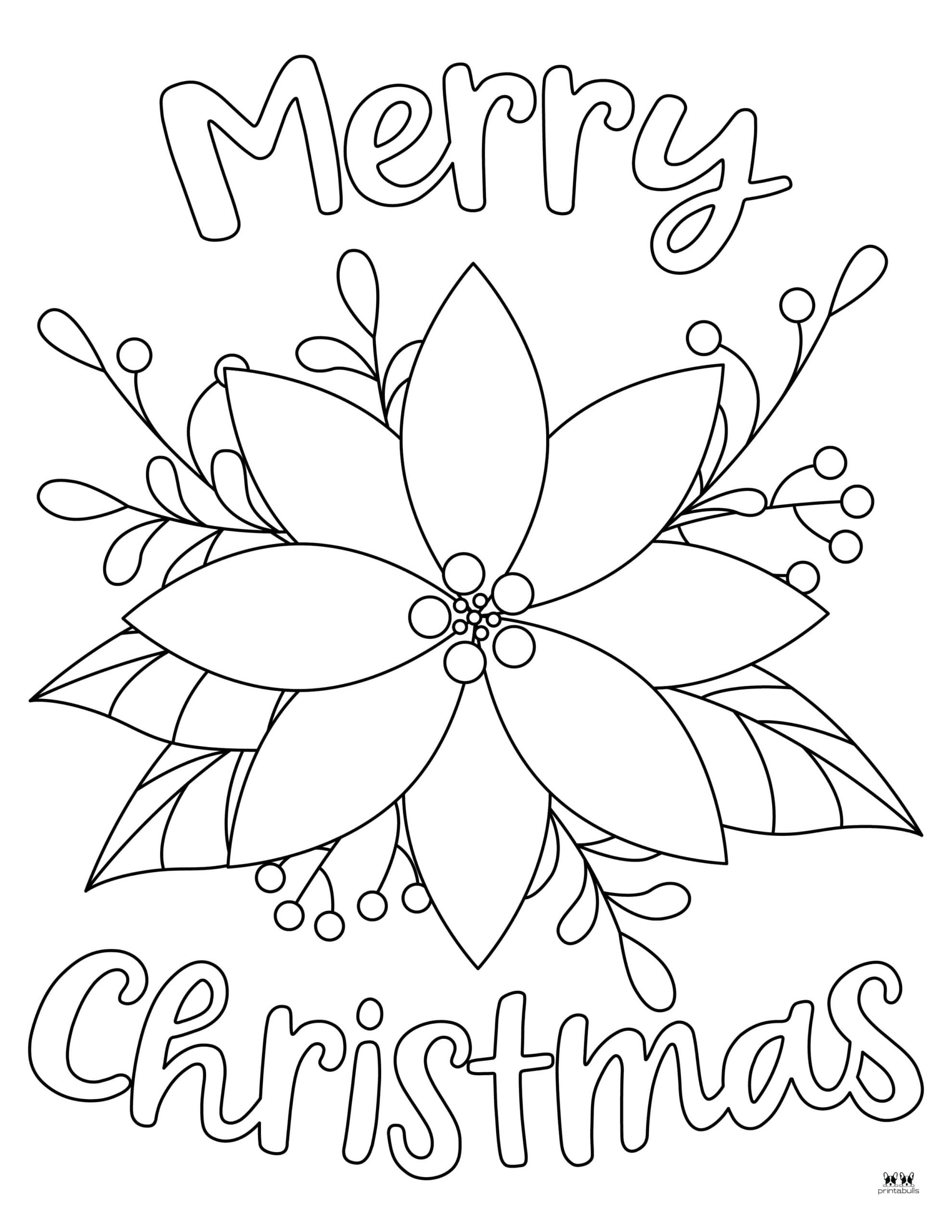 Poinsettia Coloring Pages & Templates - FREE | Printabulls