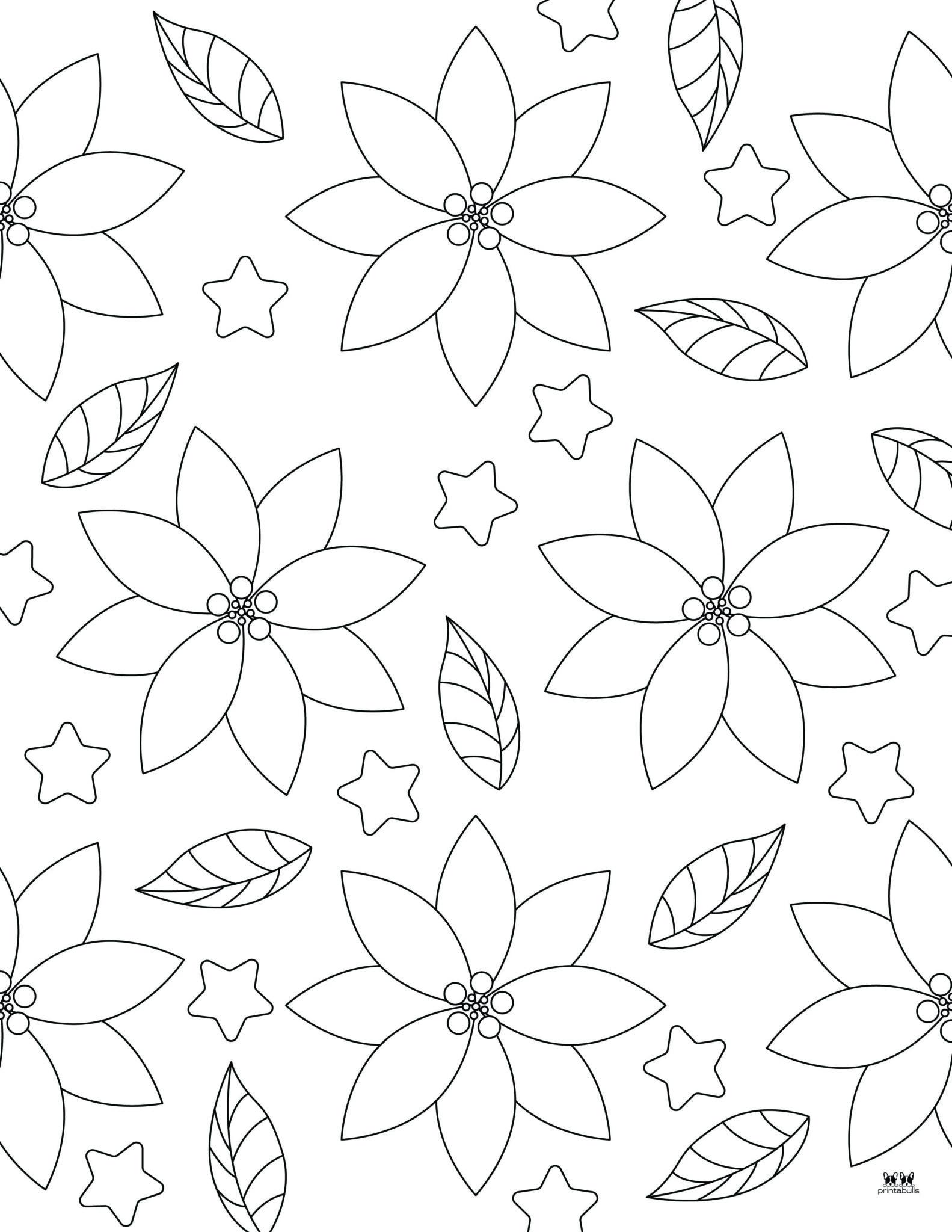 Poinsettia Coloring Pages & Templates - FREE | Printabulls