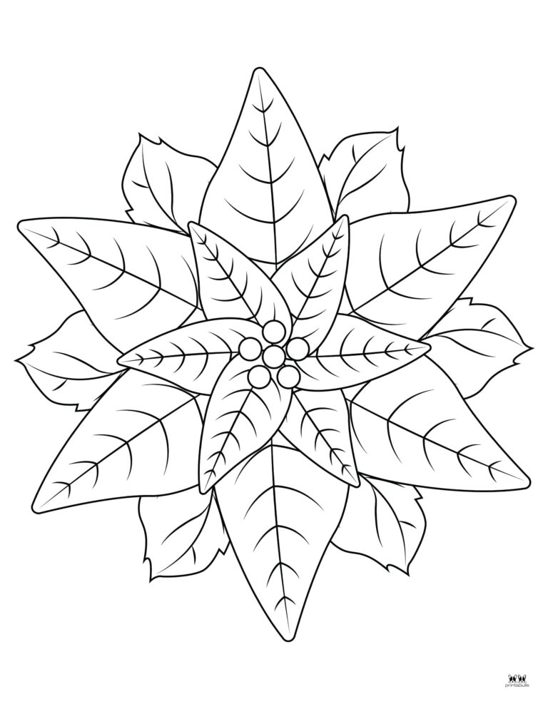 Poinsettia Coloring Pages & Templates - FREE | Printabulls