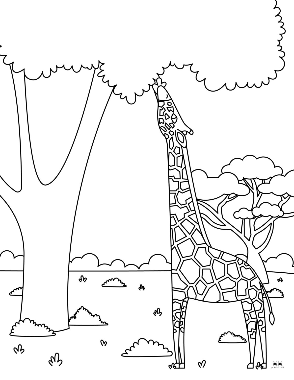 Giraffe Coloring Pages & Templates - FREE | Printabulls