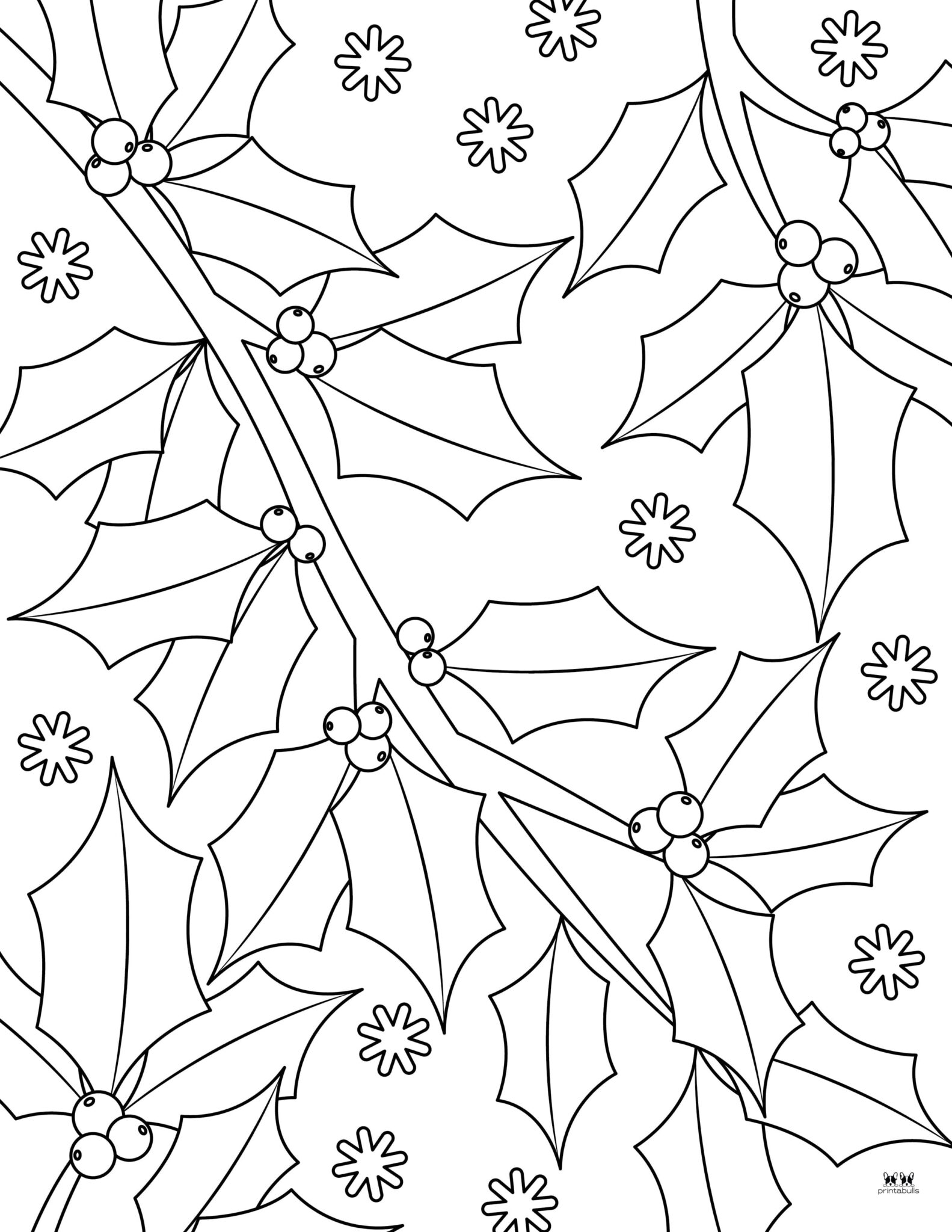 Holly Coloring Pages & Templates - FREE | Printabulls