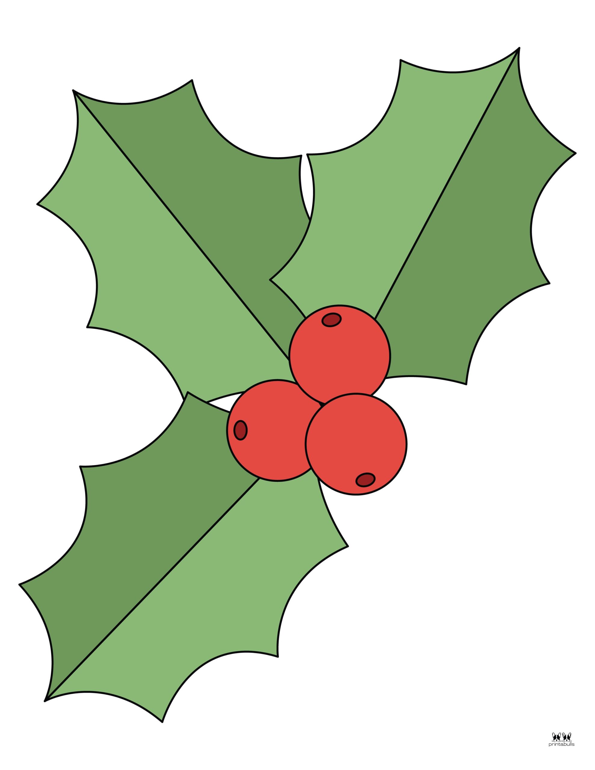 Holly Coloring Pages & Templates - FREE | Printabulls