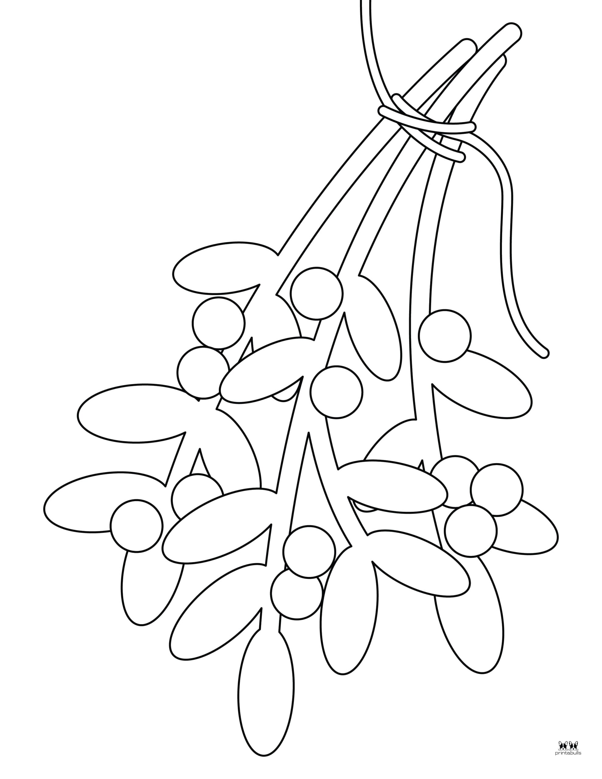 Mistletoe Coloring Pages & Templates - FREE | Printabulls