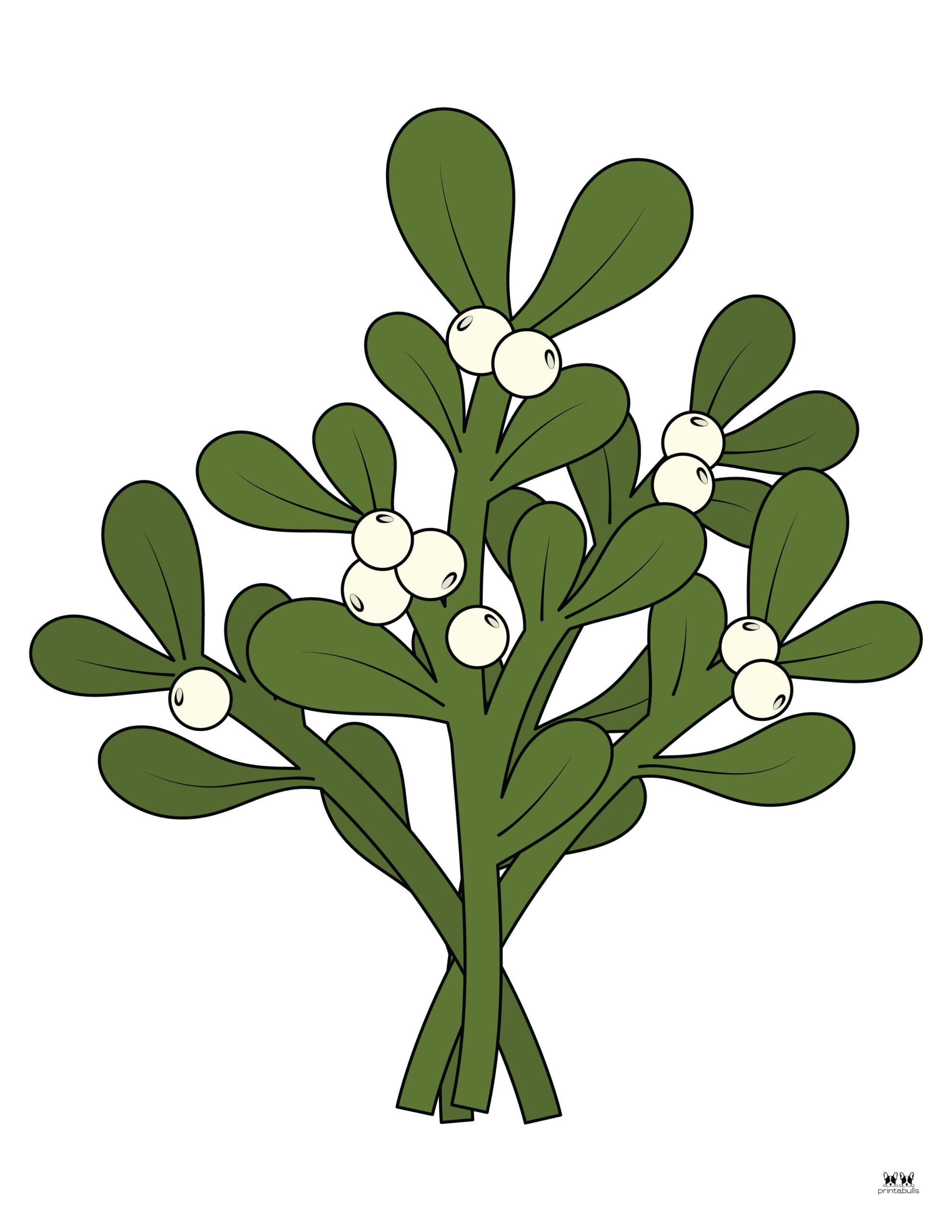 Mistletoe Coloring Pages & Templates - FREE | Printabulls
