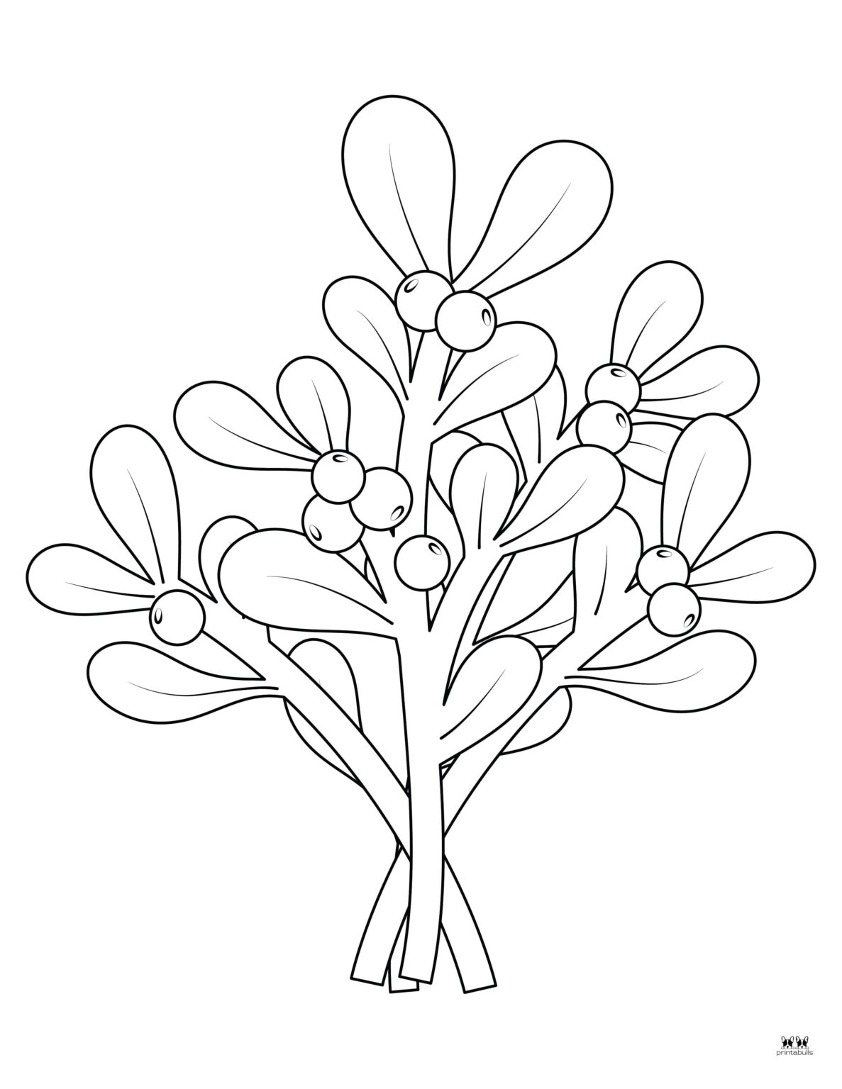 Mistletoe Coloring Pages & Templates - FREE | Printabulls